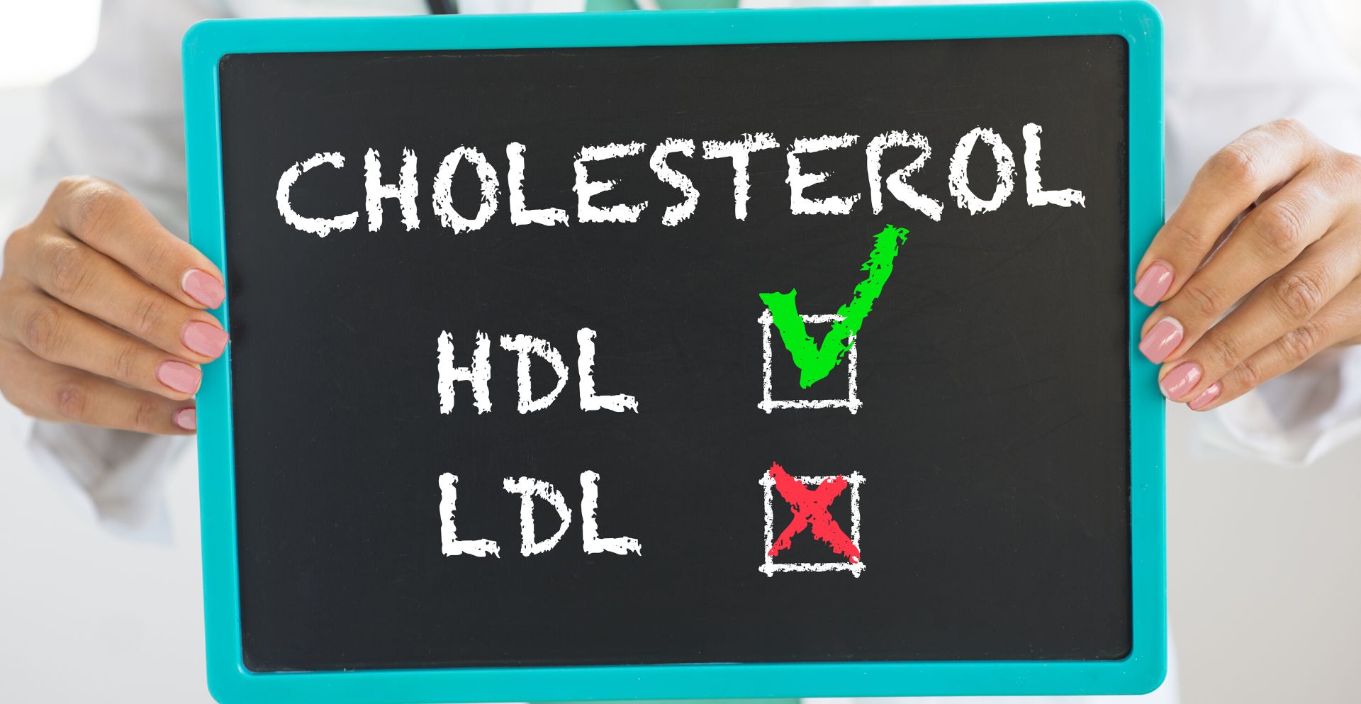 Good Gut Health Is Linked To Lower Cholesterol Levels - ADVAGEN Prebio ...