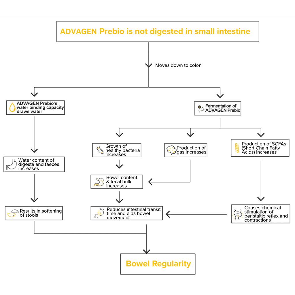 How It Works - ADVAGEN Prebio