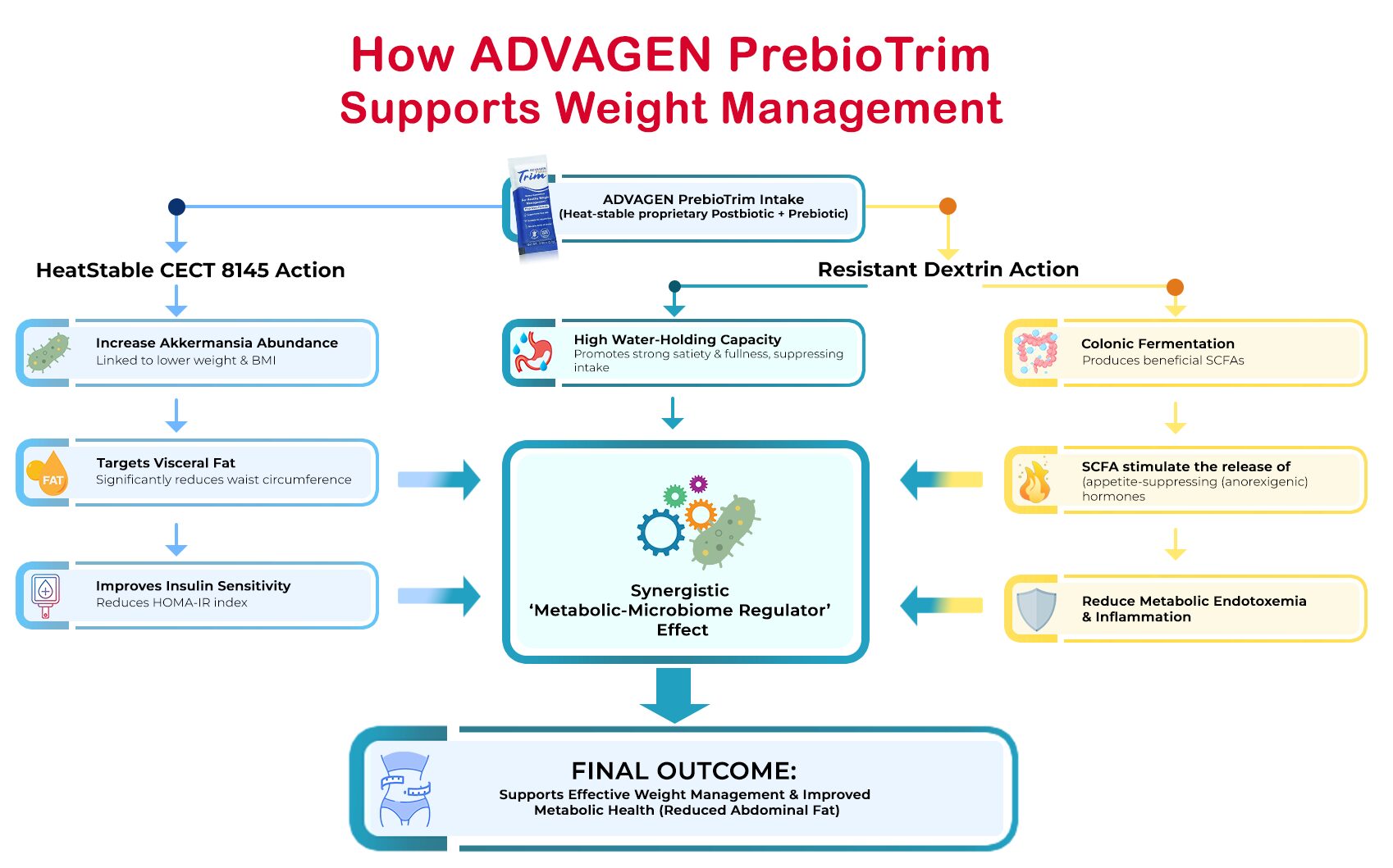 How It Works-PrebioTrim - ADVAGEN Prebio | bowel regularity & good gut ...