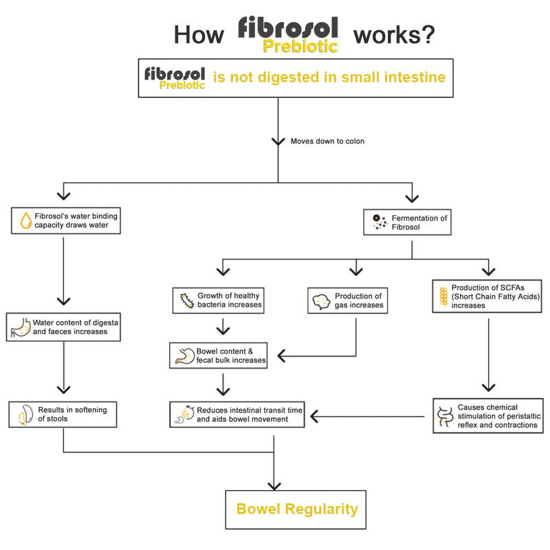 [Bundle of 2] Fibrosol Prebio 5g sachets 30s- Soluble Prebiotic Fiber ...